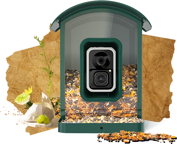 Humbirdy™ | AI Bird Feeders with 4K Camera & Bird Recognition – HUMBIRDY